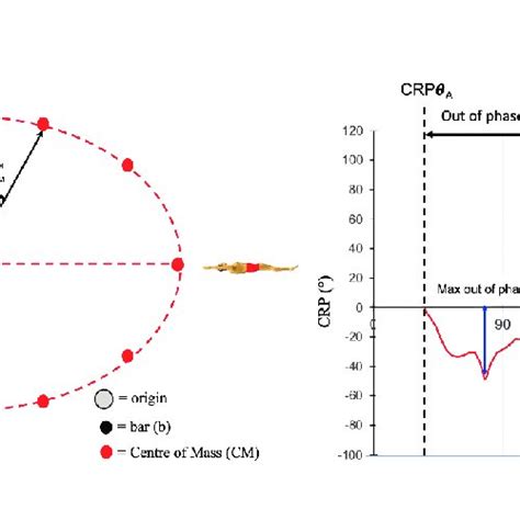 group average for key continuous relative phase variables as a function