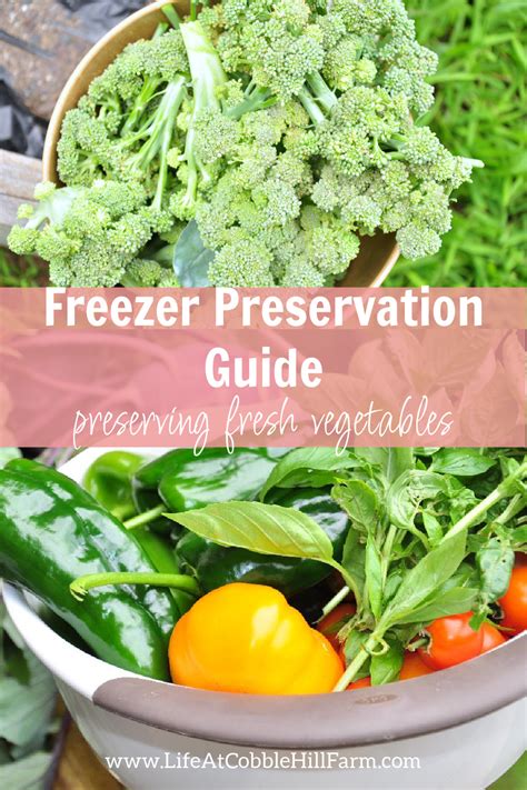 Food Preservation Freezing Veggies Life At Cobble Hill Farm