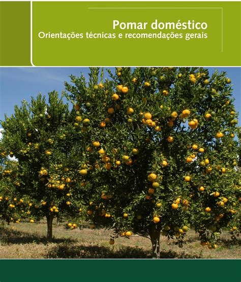 Emater MG orienta sobre formação de pomar doméstico A Lavoura
