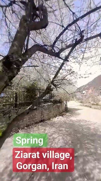 Spring Ziarat Village Gorgan Iran بهار در روستای زیارت گرگان بهار Spring Youtube