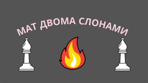 Як покласти мат двома слонами YouTube
