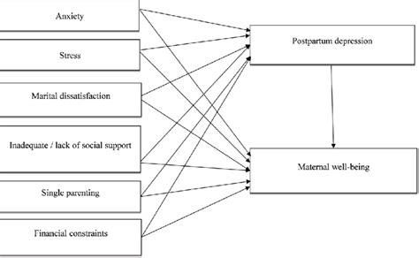 Psychosocial Determinants Of Ppd And Maternal Well Being Download