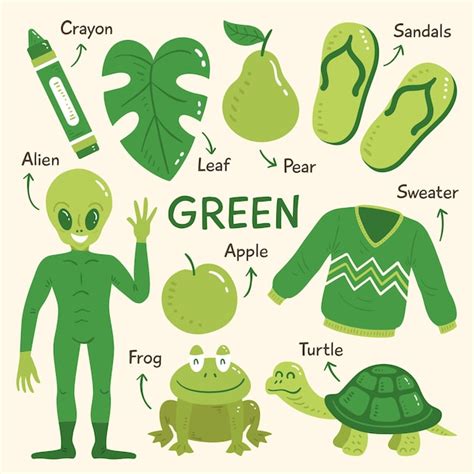 Vectores E Ilustraciones De Coleccion Objetos Color Verde Para