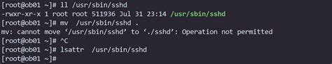 Linux Why There Is No Output Of Lsattr And How To Resolve It Unix
