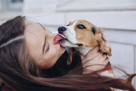 Are Dog Licks Kisses
