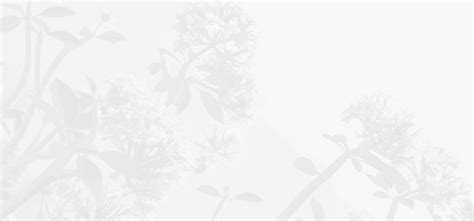 Is It Worth Getting The Flu Shot If Youve Had The Flu Sharp Healthcare