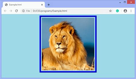 How To Center Images In CSS Online Tutorials Library List Tutoraspire Com