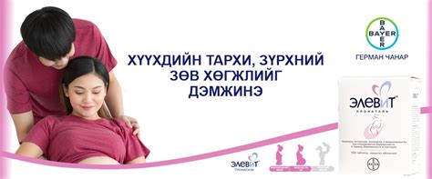 Жирэмсэн үеийн хооллолт