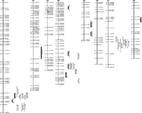 Figure 1 From Genotyping By Sequencing For Snp Based Linkage Map Construction And Qtl Analysis