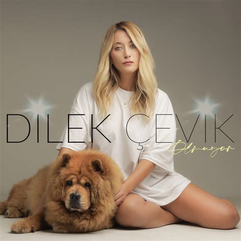Dilek Çevik 1 Mart 2024 Hayal Kahvesi Trump Avm — Konserlist