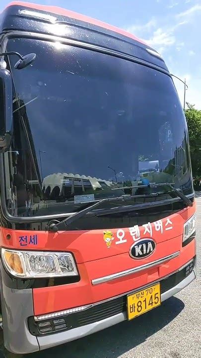 부산 오렌지버스 전세버스 전국장애학생체육대회 차량 사직실내체육관 구미운동장행 영상 2022년 5월 16일 촬영 Youtube