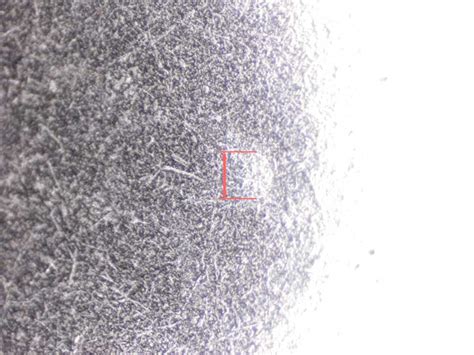 Transmission Path Evasion Carbide Audio