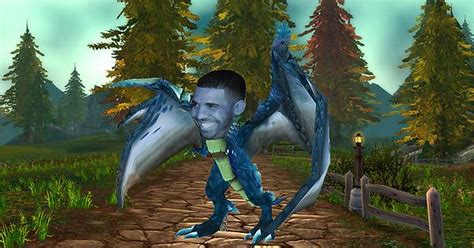 Proto Drake Imgur