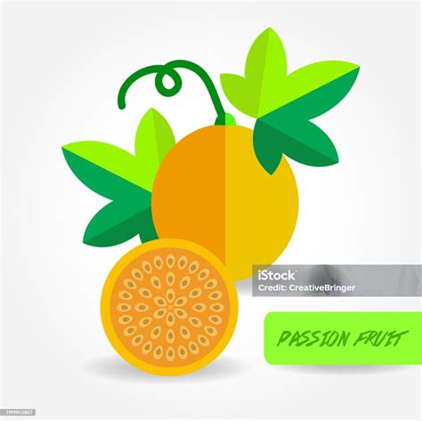 Passion Fruit Vector Illustration Stock Illustration Download Image