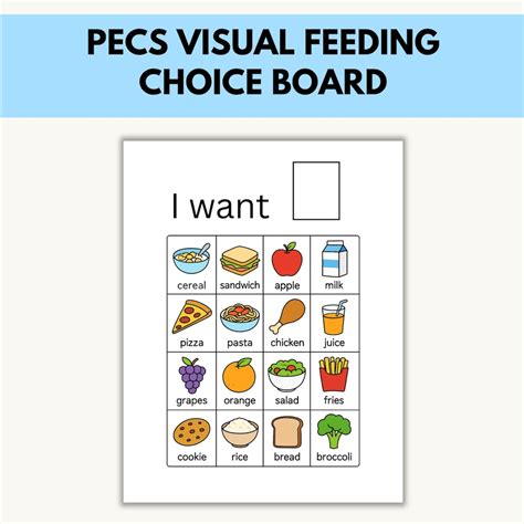 Pecs Visual Feeding Choice Board Mealtime Communication Pdf Etsy