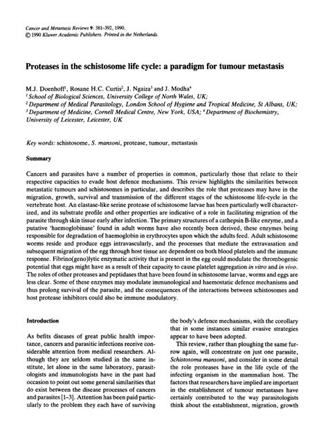 Pdf Proteases In The Schistosome Life Cycle A Paradigm For Tumour