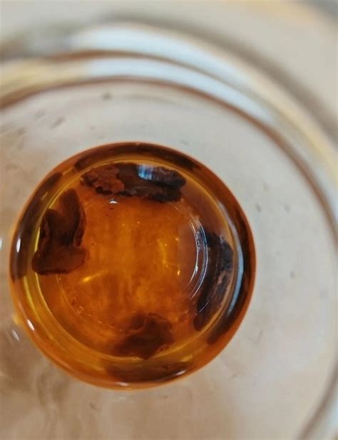 两款九蒸九晒黄精煮水体验对比