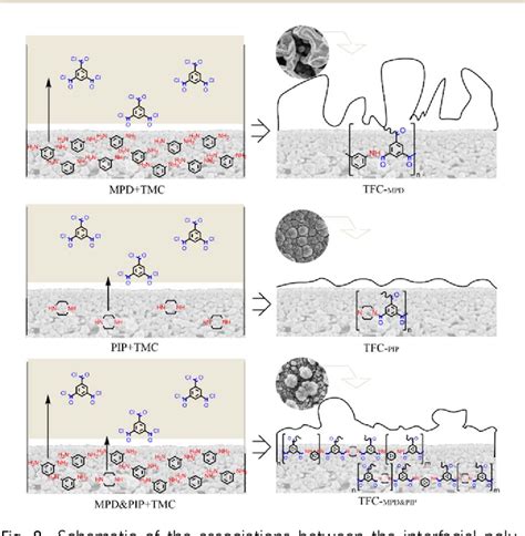 Figure 1 From The Construction Of An Efficient Magnesium Lithium