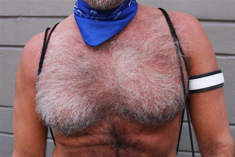 SUPER HAIRY HANDSOME BEARMAN HUNK FOLSOM STREET FAIR Flickr