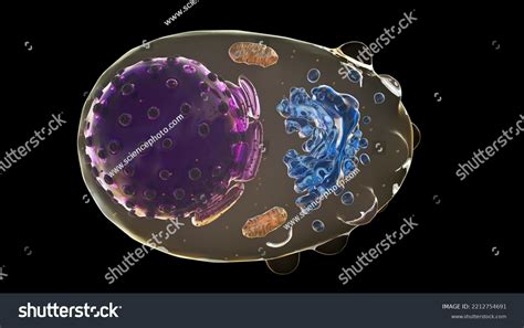 Pictures Of Plasma