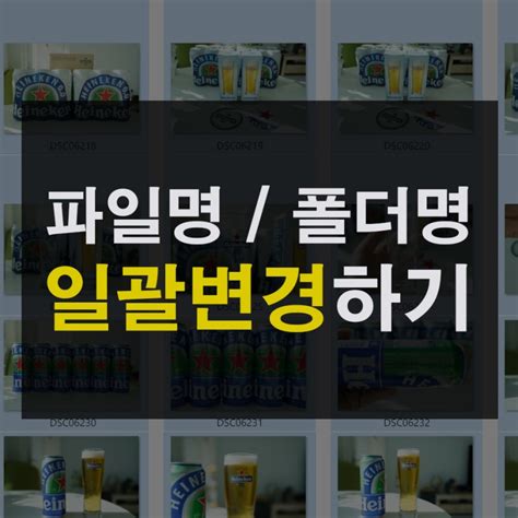 파일명 폴더명 일괄 변경하는 방법 윈도우 탐색기로 파일이름 폴더이름 일괄 변경 가능 네이버 블로그