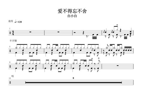 白小白《爱不得忘不舍》鼓谱架子鼓谱 打谱啦