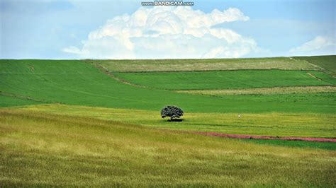 001 Aspnet Core 50 Web Api İle E Ticaret Sitesi Yapımı Projenin Oluşturulması Youtube