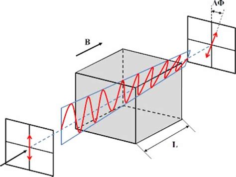 Faraday Rotation Effect Of A Linearly Polarized Beam Download Scientific Diagram