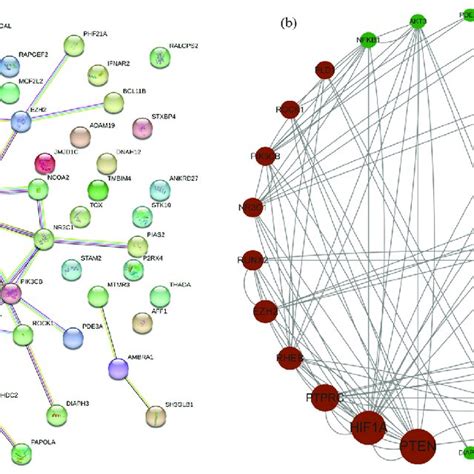 Identification Of Hub Source Genes Of CircRNA From The PPI Network A