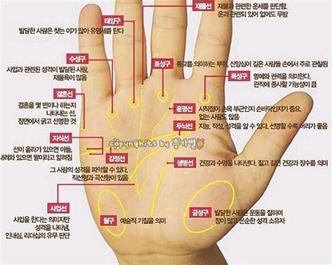 손금 ★ 좋은손금 재물운 보기 ★ 여자 왼손 남자 오른손 네이버 블로그