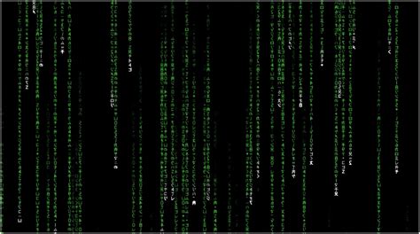 Живые обои на рабочий стол матрица фото и картинки Abrakadabra Fun