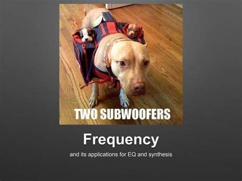 Echo Chamber Reverb And Delay Effect Vst Vst3 Plugins For Windows 64 Bit Plate Spring