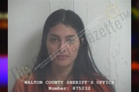 Rosa Arreguin — Walton County Jail Bookings