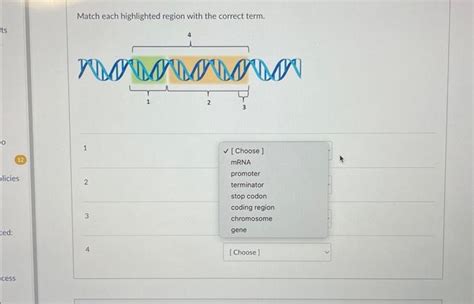 Solved Match Each Highlighted Region With The Correct Term