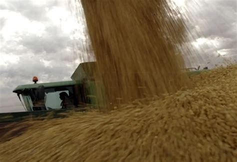 Diario Pampero Preocupante caída de exportaciones agropecuarias en Argentina