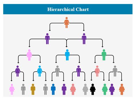 Hierarchical Chart Organizational Chart Design Org Chart Organizational Chart