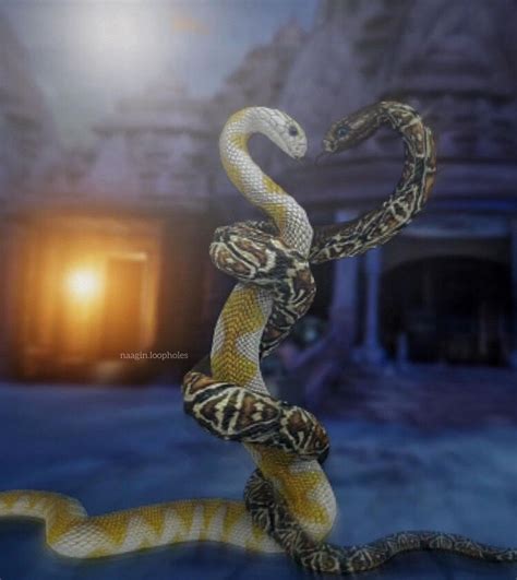 Snake Girl Cobra Concept Cars Background Images Save Drawings
