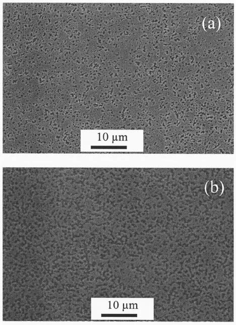 Scanning Electron Micrographs Showing Surface Morphology Of Tin On ͑ A