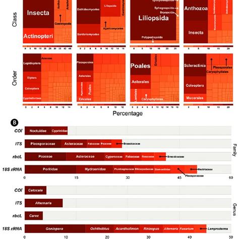 Length Comparison Between Total Barcode Sequences And Erroneous Barcode