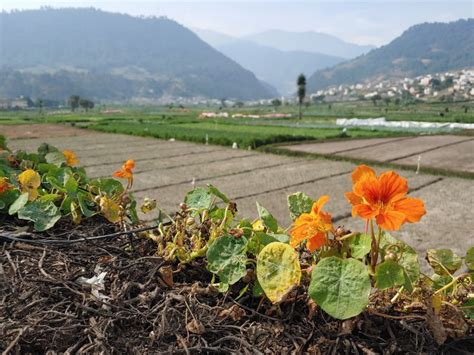 Keith Williams On Linkedin Scenes From Guatemala Where Our Uva Clark