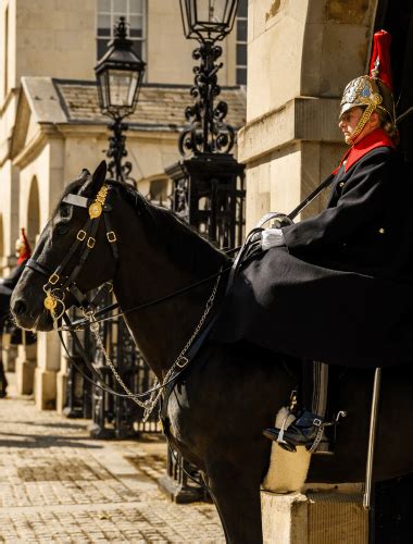 Programmes Samiad Summer Schools