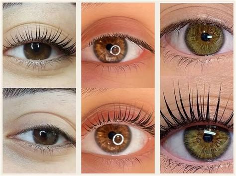 راهنمای کامل لیفت مژه مدل ها، عوارض و نتایج با تصاویر واقعی