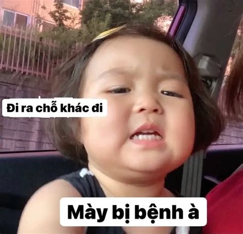 Meme Cute đáng Yêu Khiến Bạn Muốn Lưu Ngay Vào Bộ Sưu Tập