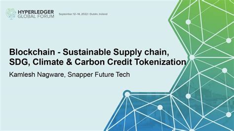 Blockchain Sustainable Supply Chain Sdg Climate And Carbon Credit Tokenization Hyperledger