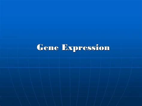 PPT Gene Expression PowerPoint Presentation Free Download ID