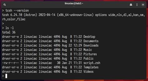 Top 5 Linux Shells You Should Know About
