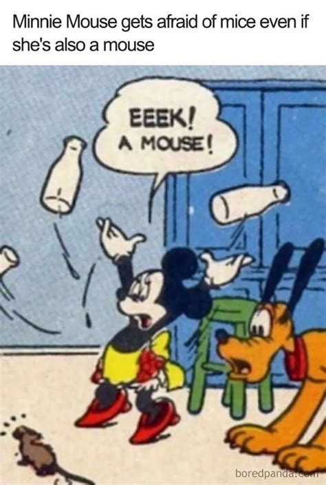 Funny Cartoon Logic🤣 Cartoon Amino