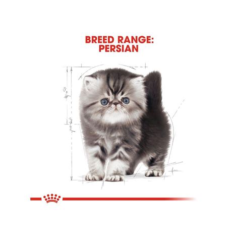 Royal Canin Persian Kitten Kg Dry Cat Food Online Pet Shop Malaysia Online Pet Store