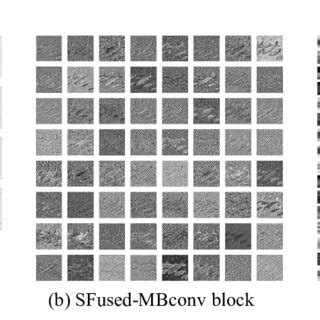 Grad CAM Heat Maps Of Different Models For A Given Wild Fish The Heat