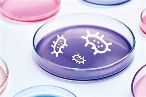 The Medicine Maker Towards Rapid Microbial Testing Methods